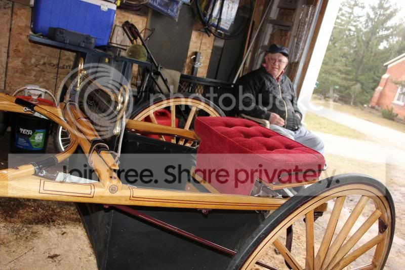 Jerald cart - id number and wheel size | Miniature Horse Talk Forums