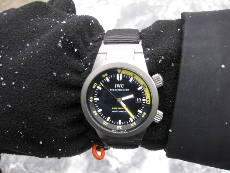 titanium divers | WatchUSeek Watch Forums