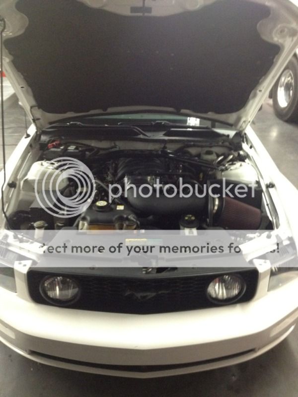 ***show me your engine bays*** | Page 28 | S197 Mustang Forum ...